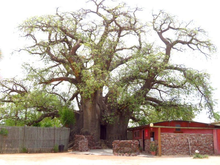 Visitors – Outapi Town Council